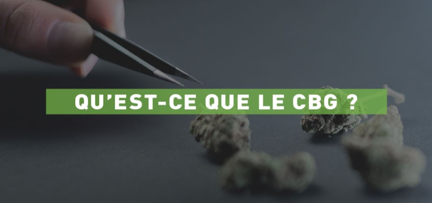 Qu'est-ce que le CBG ? - Le CBD Discount